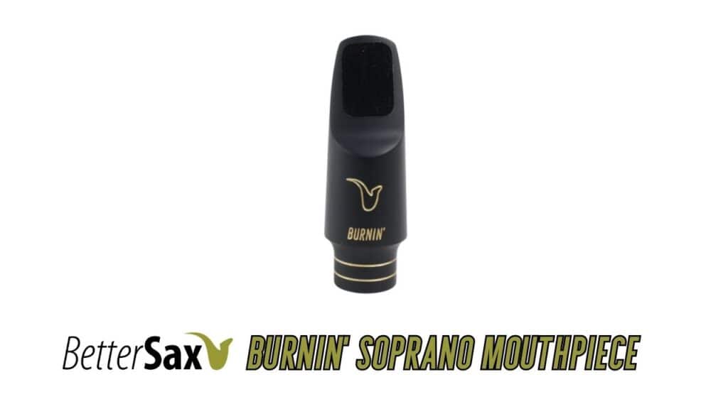 TOP 10 SOPRANO Saxophone Players of all Time - bettersax.com